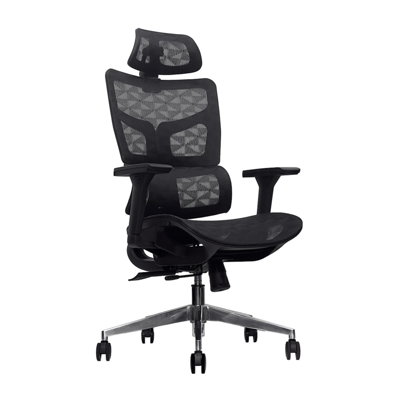 Full Mesh Ergonomic Chair U12 | Office Chair Singapore